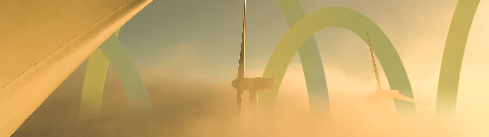 Aura Privacy Policy - Aura Innovation